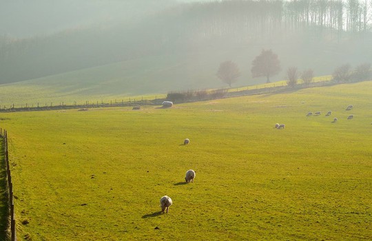 It Was a Fantasy: Centrist Political Commentators in the Age of ...