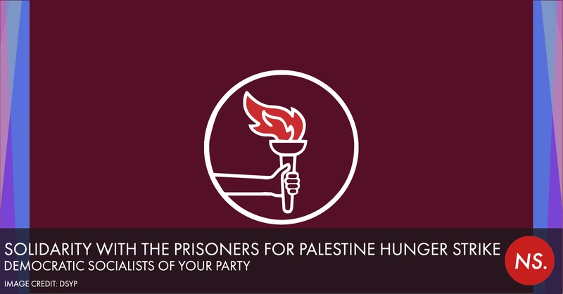 Solidarity Statement with the Prisoners for Palestine Hunger Strike ...